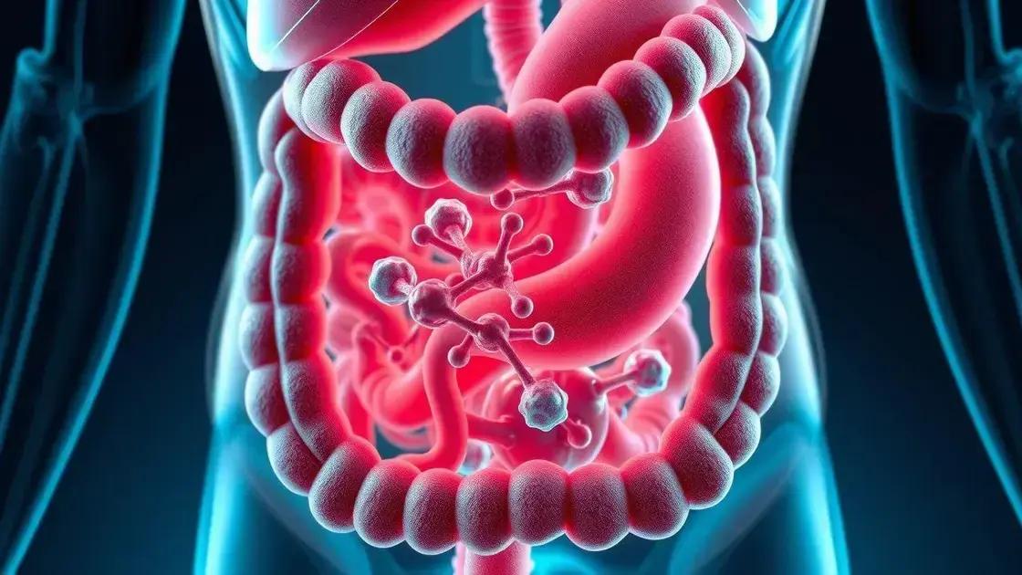 Enzimas digestivas: entenda como melhoram sua saúde e evitam desconfortos
